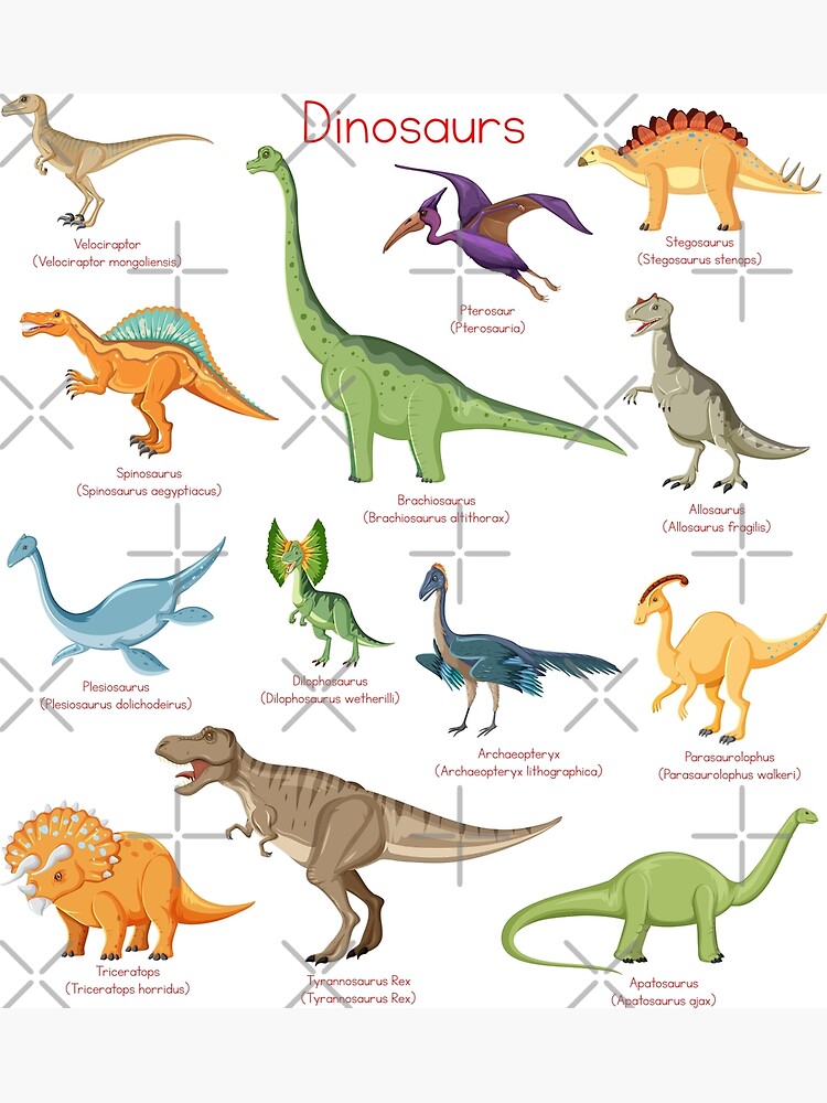"Types of Dinosaurs Alphabet A-Z ABC Dino Identification" Poster for ...