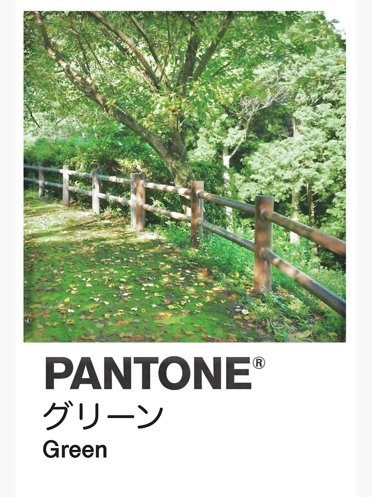"Pantone Green Garden And Trees Sticker tshirt Aesthetic Japan" Sticker ...