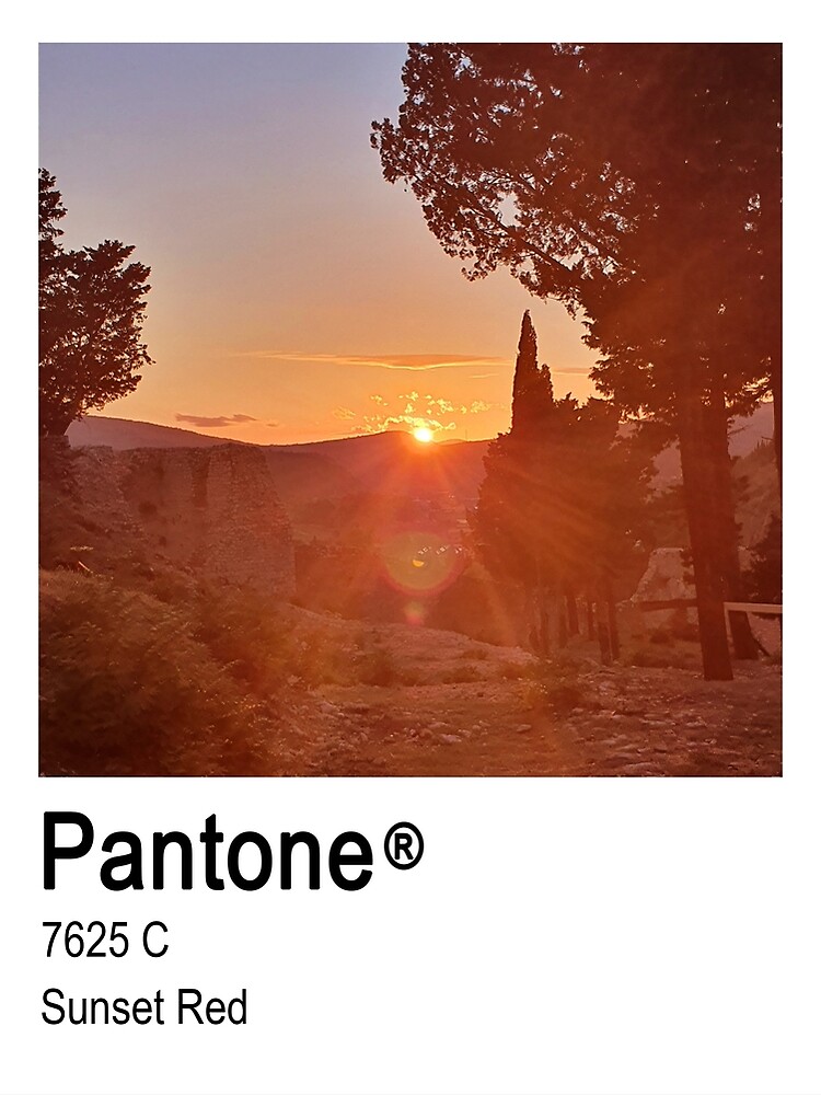 "Pantone Sunset Red" Poster for Sale by CameraO | Redbubble