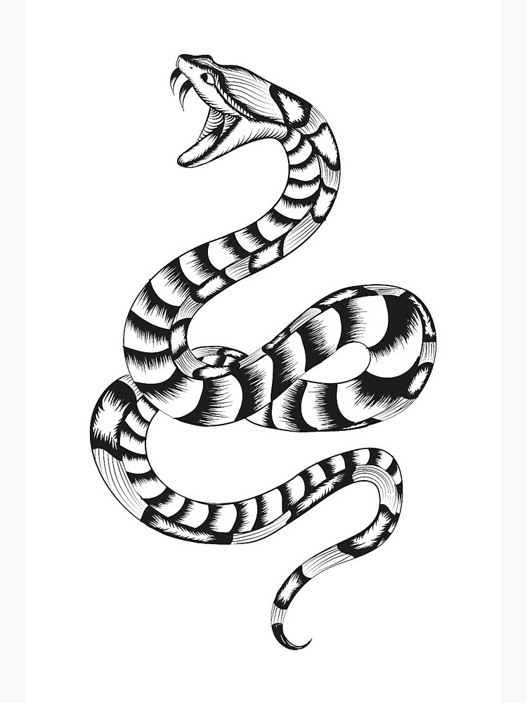 "Dangerous angry toxic hungry snake" Art Board Print for Sale by tunke ...