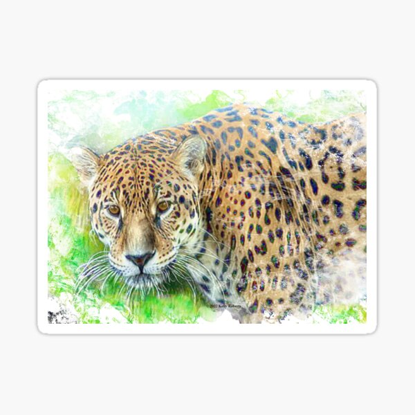 "Stalking Leopard" Sticker for Sale by MystAvalon | Redbubble