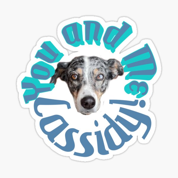 "Cassidy!" Sticker for Sale by joshferatu | Redbubble