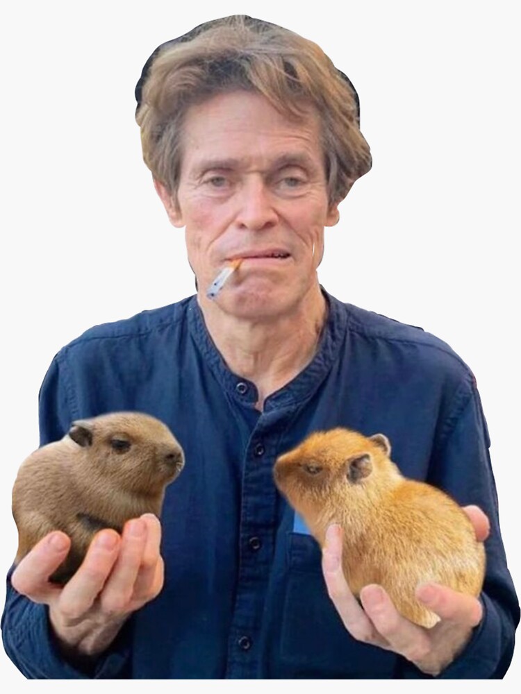 "Swag Man Holding Capybara Babies" Sticker for Sale by Typical-Turd ...