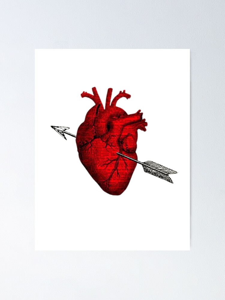 "Arrow Through Heart" Poster for Sale by classthetic | Redbubble