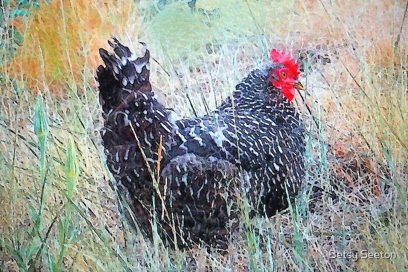 "Rogue Chicken" by Betsy Seeton | Redbubble