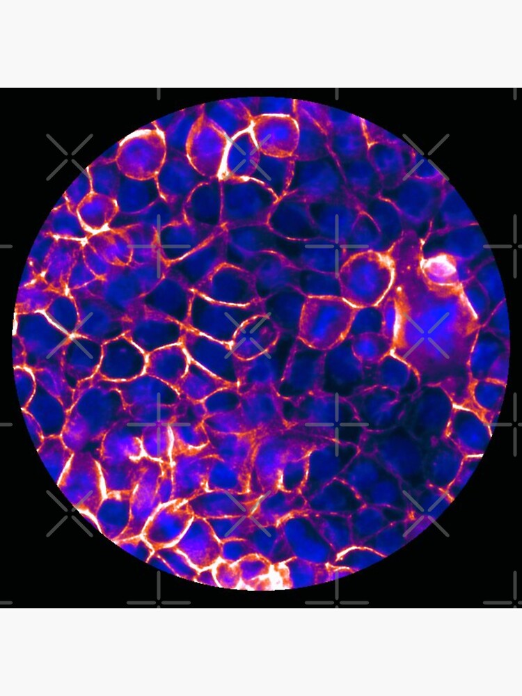 "Membranes and nuclei - blue and gold" Sticker for Sale by ArtByScience ...