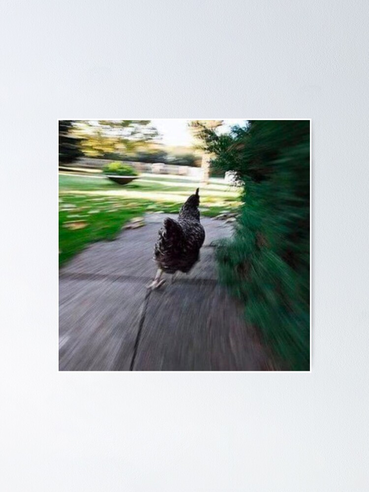 Chicken Running Meme
