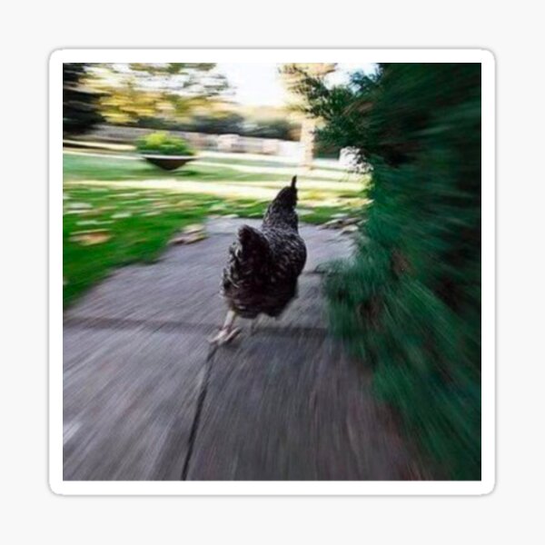 "Running Chicken Meme Funny " Sticker for Sale by Listrenect | Redbubble
