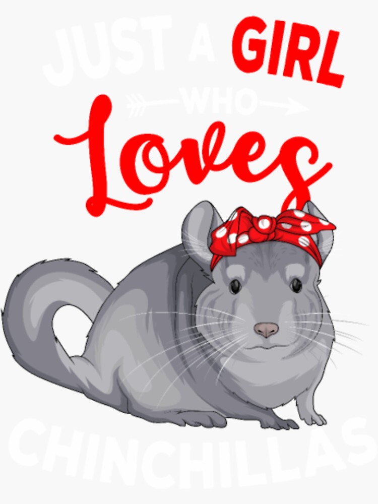 "Chinchilla Girl Funny Quote " Sticker for Sale by ReahuGyae | Redbubble