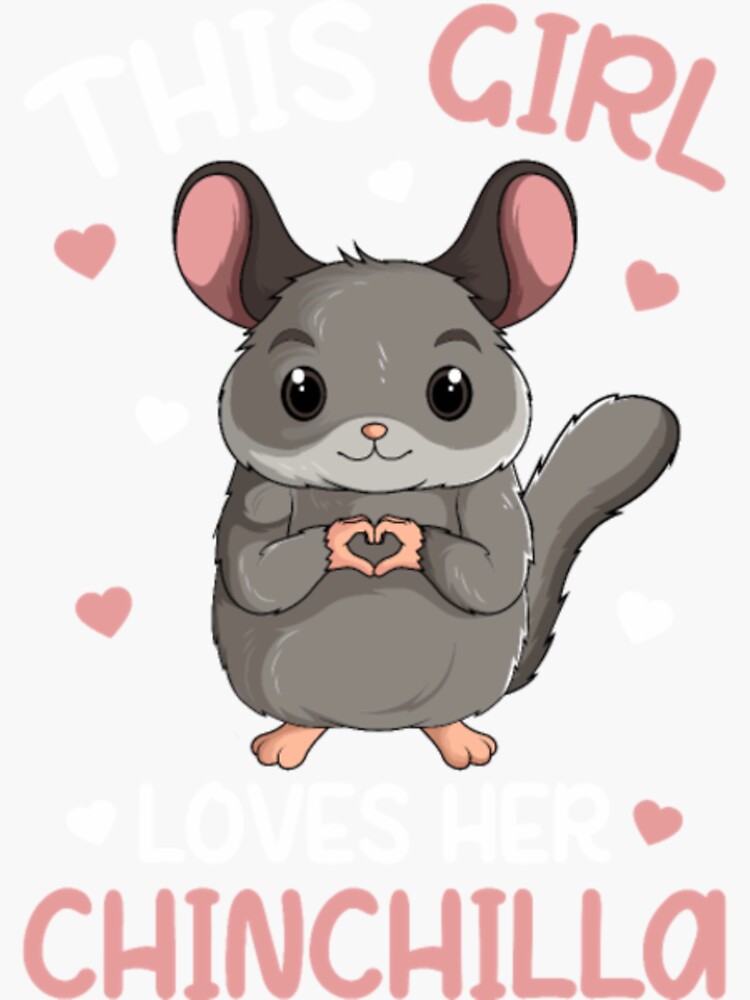 "chinchilla girl kids" Sticker for Sale by ReahuGyae | Redbubble