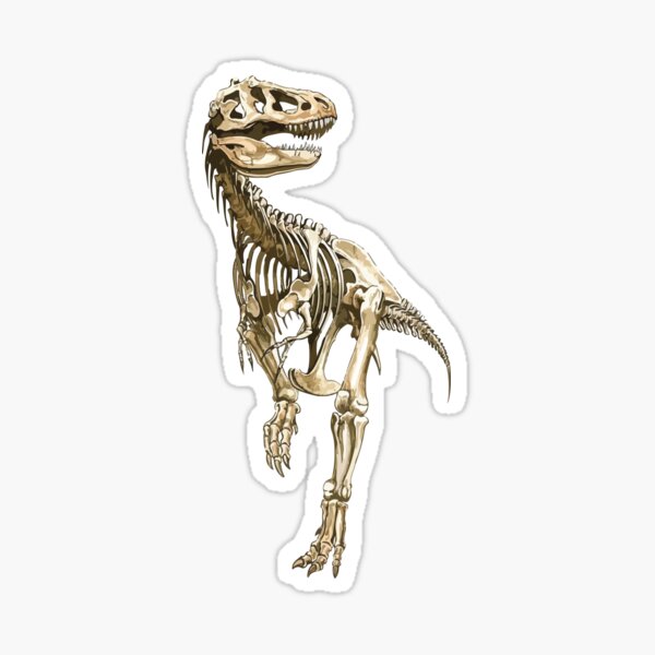 "Dinosaur Paleontologist " Sticker for Sale by PopArtDesigns | Redbubble