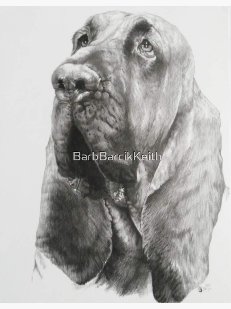 "Crinkle" Sticker for Sale by BarbBarcikKeith | Redbubble