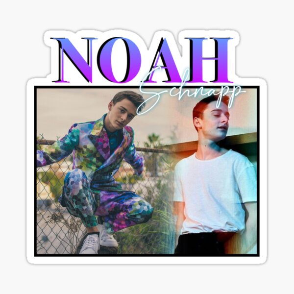 "Noah Schnapp Retro Vintage Design Stranger Things " Sticker for Sale ...