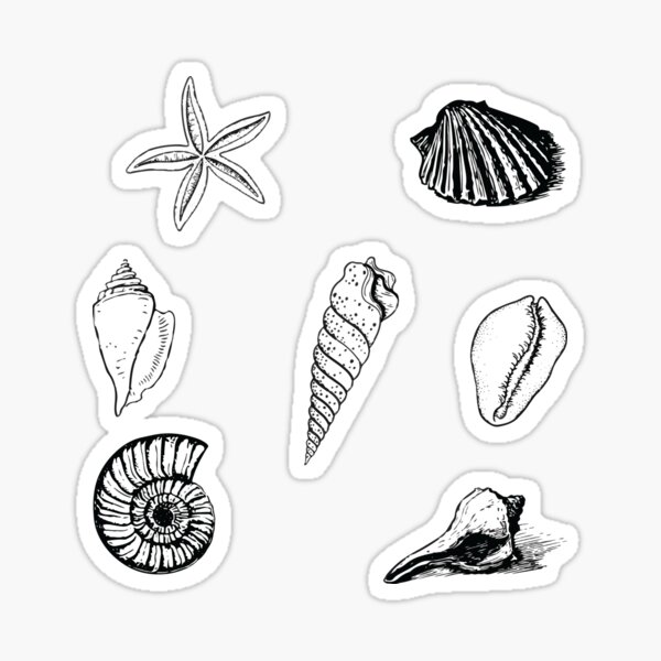 "Seashells Outline Minimalist Sticker-Pack" Sticker for Sale by ...