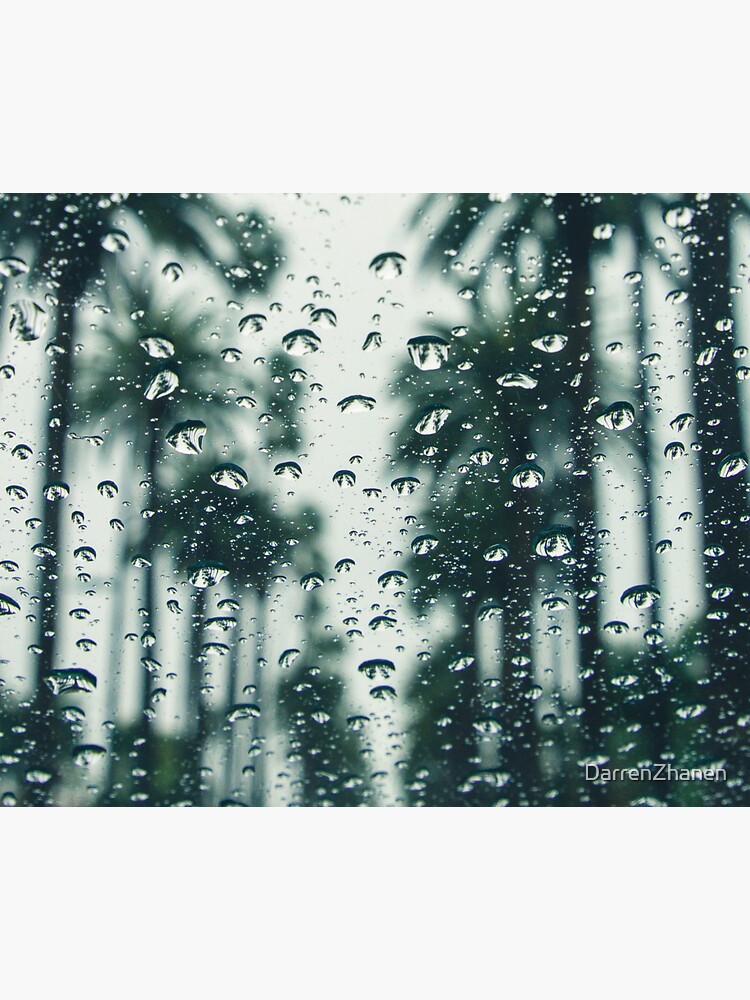 "The misty rainy day is the sadness outside the window" Sticker for ...