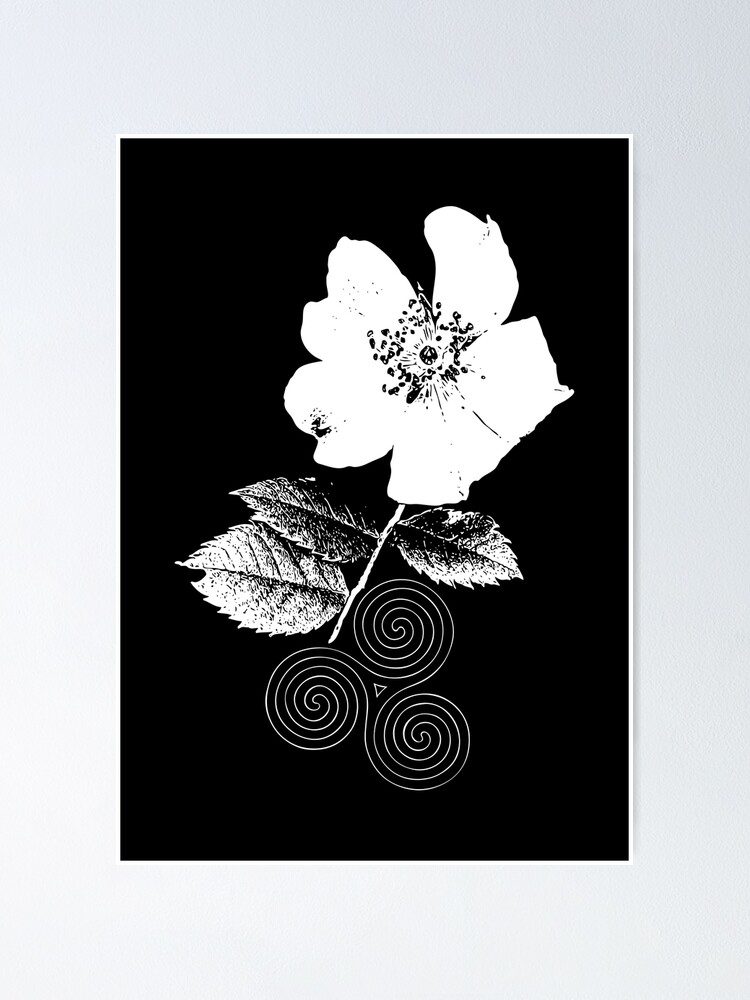 "Trinity Flower Wild Rose with Triskelion" Poster for Sale by ...