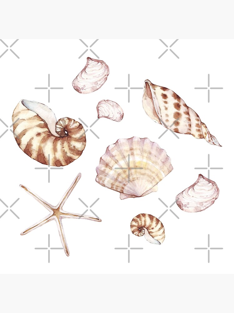 "Cute sea shells, seamless pattern, marine background. Watercolor ...