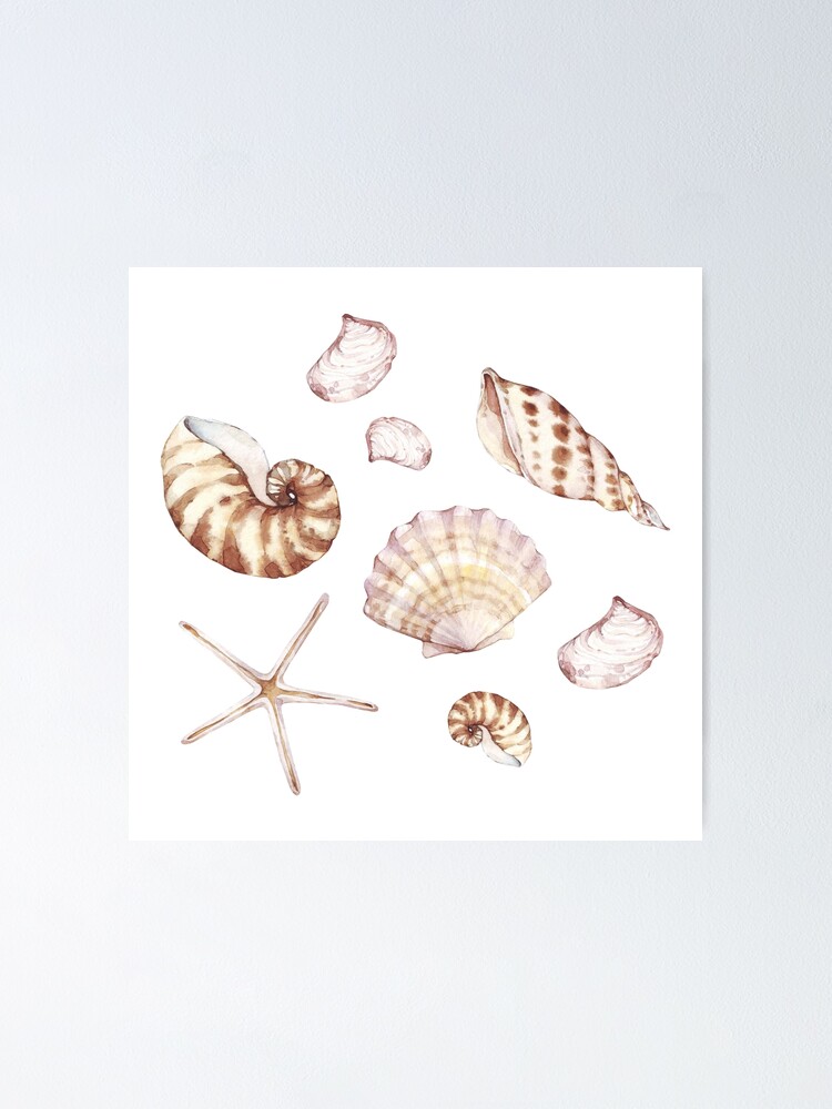 "Cute sea shells, seamless pattern, marine background. Watercolor ...