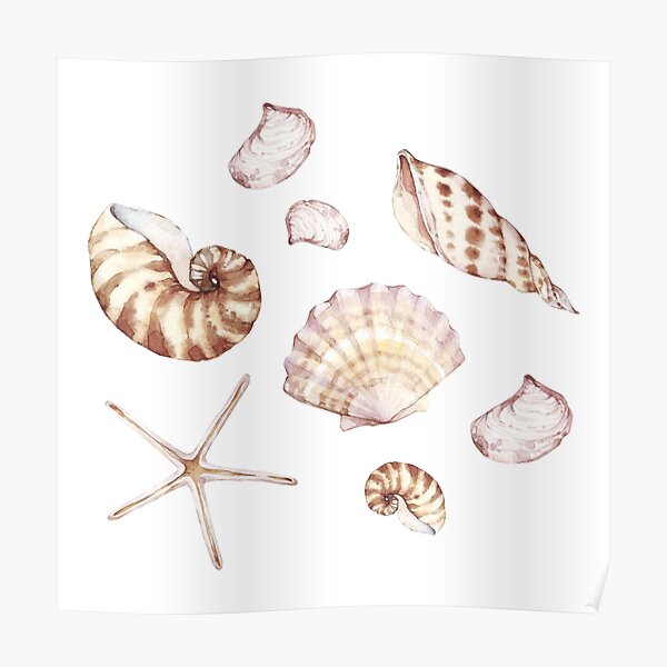 "Cute sea shells, seamless pattern, marine background. Watercolor ...