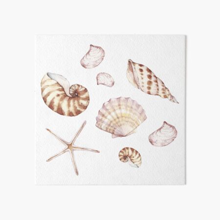 "Cute sea shells, seamless pattern, marine background. Watercolor ...