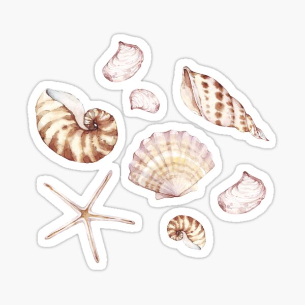 "Cute sea shells, seamless pattern, marine background. Watercolor ...