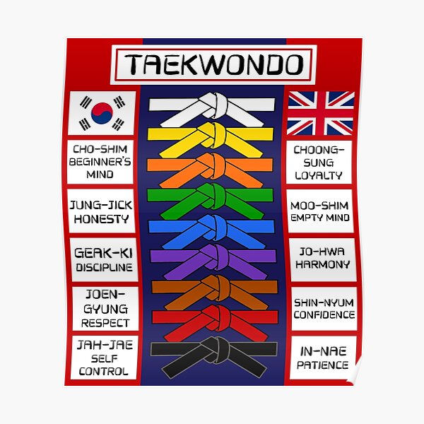 "Taekwondo poster" Poster for Sale by Taekwondoshop24 | Redbubble