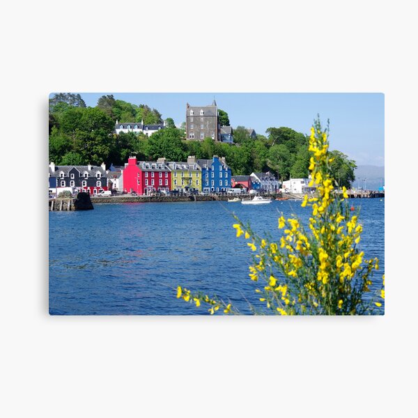Balamory Gifts & Merchandise for Sale | Redbubble