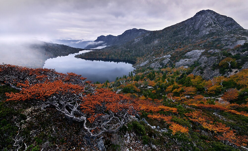 "Van Diemens Mountains" by Robert Mullner | Redbubble
