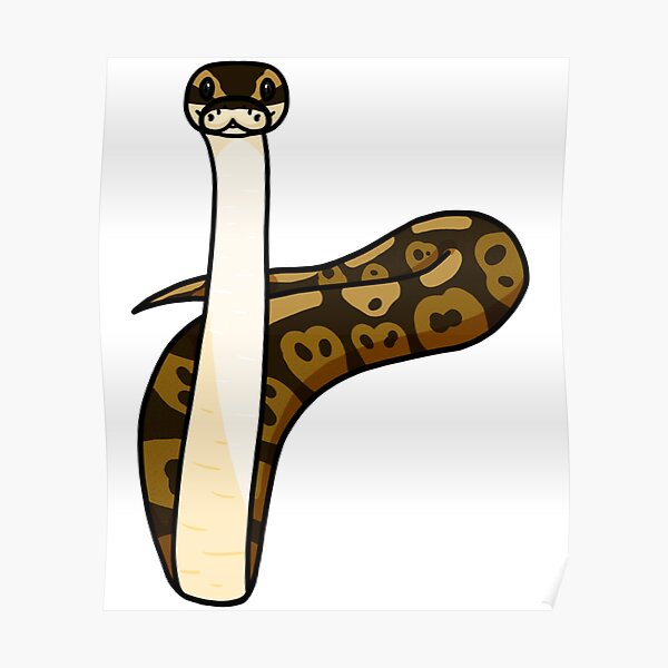 Ball Python Scoping Poster For Sale By Heckingoodvinyl Redbubble