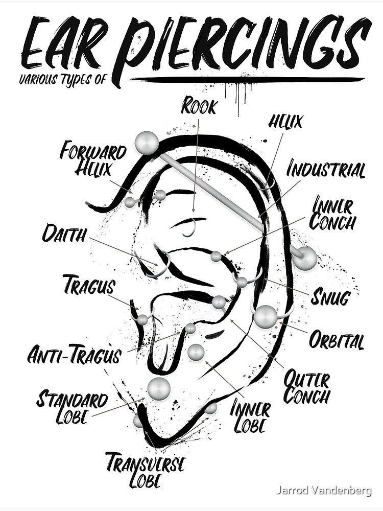 "Ink Ear Piercing Chart" Poster for Sale by Jarrod44 | Redbubble