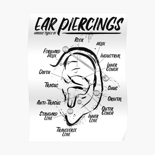 "Ink Ear Piercing Chart" Poster for Sale by Jarrod44 | Redbubble