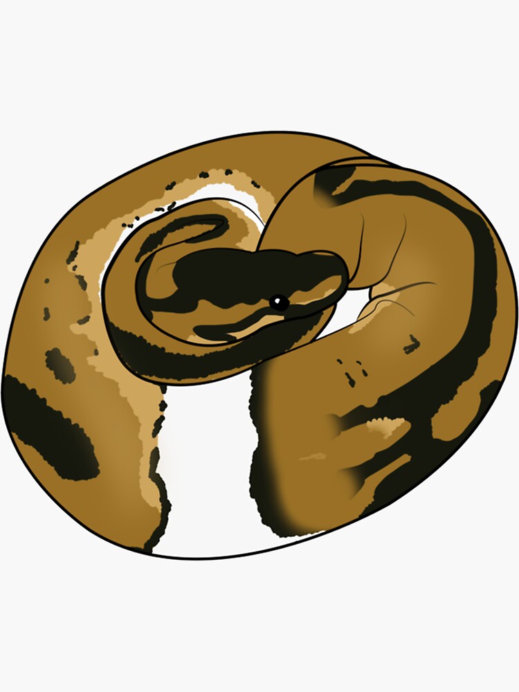 "Balled Ball Python " Sticker for Sale by HeckinGoodVinyl | Redbubble