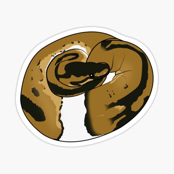"Balled Ball Python " Sticker for Sale by HeckinGoodVinyl | Redbubble