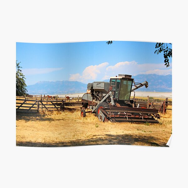 "The Gleaner" Poster for Sale by doubleheader | Redbubble