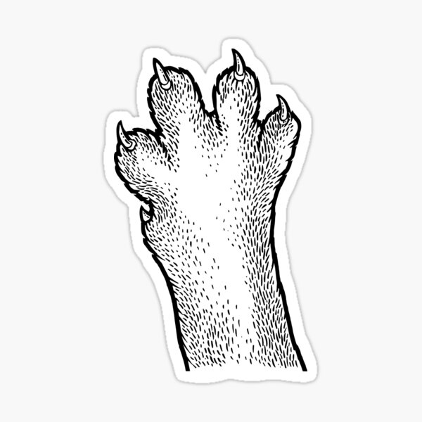 "Cat's paw with claws sketch. White color" Sticker for Sale by alexwro ...