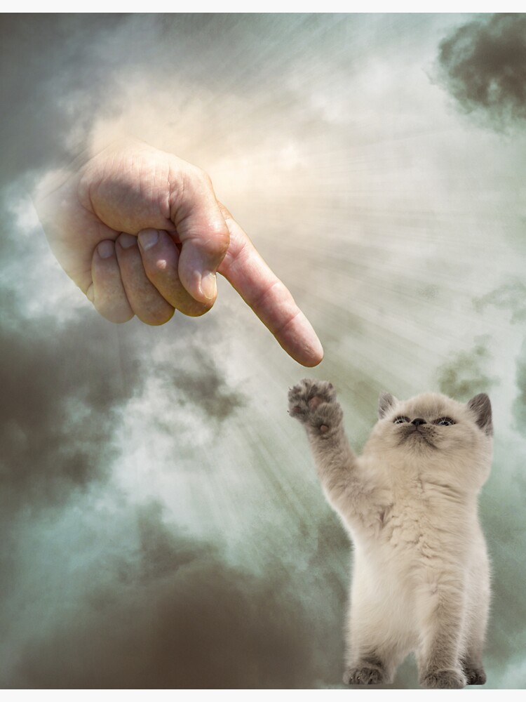 "Hand of god to kitten" Sticker for Sale by JoeyGrace | Redbubble