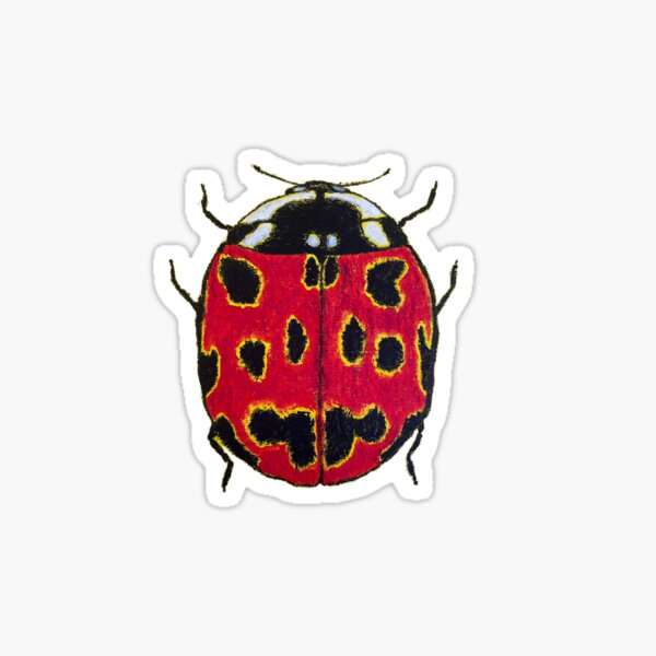 "Happy Insect Ladybug, Ladybird" Sticker for Sale by MelanieMD-Art ...