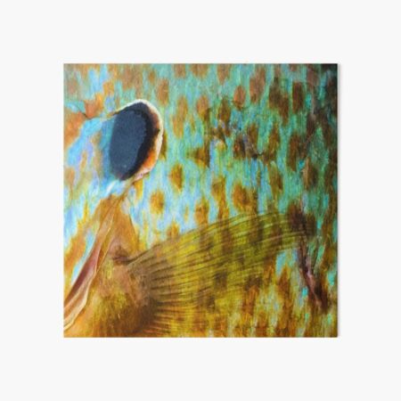 "Pumpkinssed Sunfish Skin Pattern" Art Board Print for Sale by CJRPics ...
