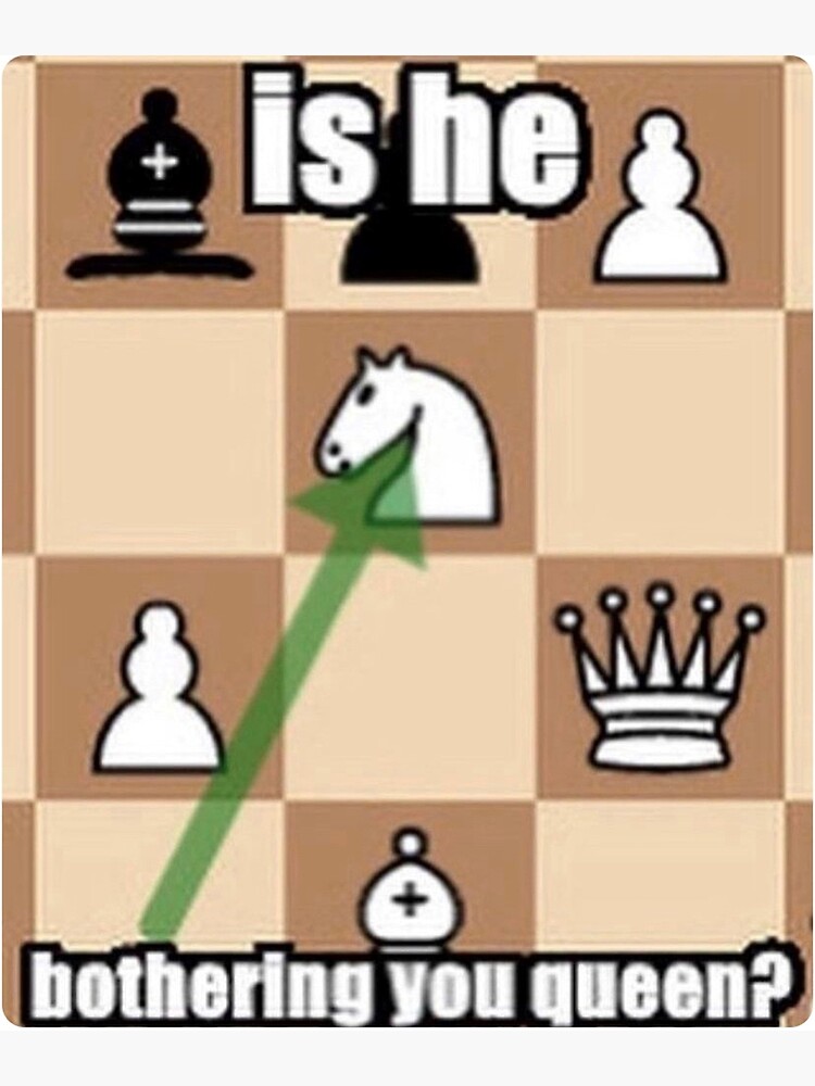 "White Knight Chess Meme Is He Bothering You Queen" Poster for Sale by ...
