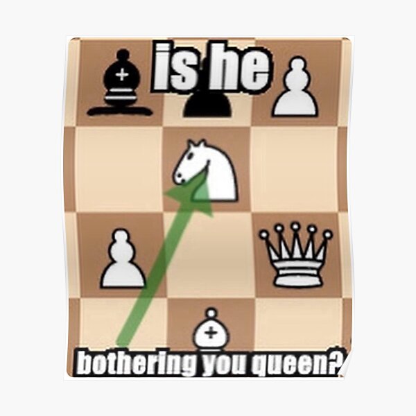 "White Knight Chess Meme Is He Bothering You Queen" Poster for Sale by ...