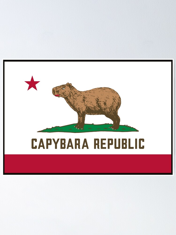 "Capybara Republic (on black)" Poster for Sale by Groenendijk | Redbubble