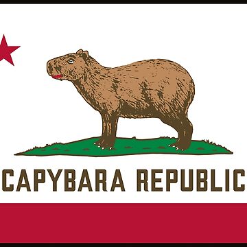 "Capybara Republic (on black)" Poster for Sale by Groenendijk | Redbubble
