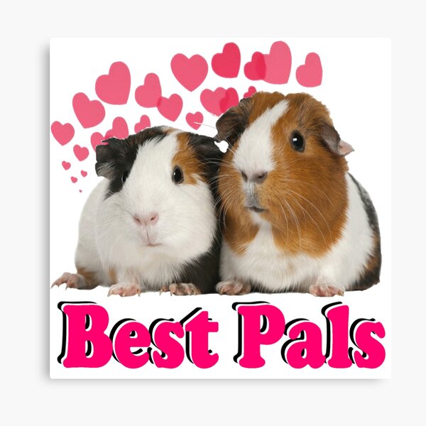 "Best Pals" Canvas Print for Sale by sunlightjay | Redbubble