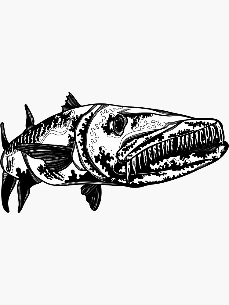 "Bothersome Barracuda " Sticker for Sale by ChelsiaDawn23 | Redbubble