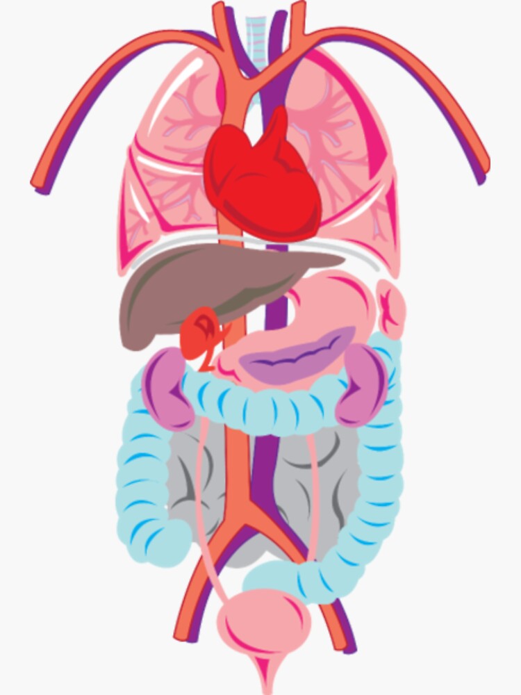 "Body Organ Costume" Sticker for Sale by DaoTien | Redbubble