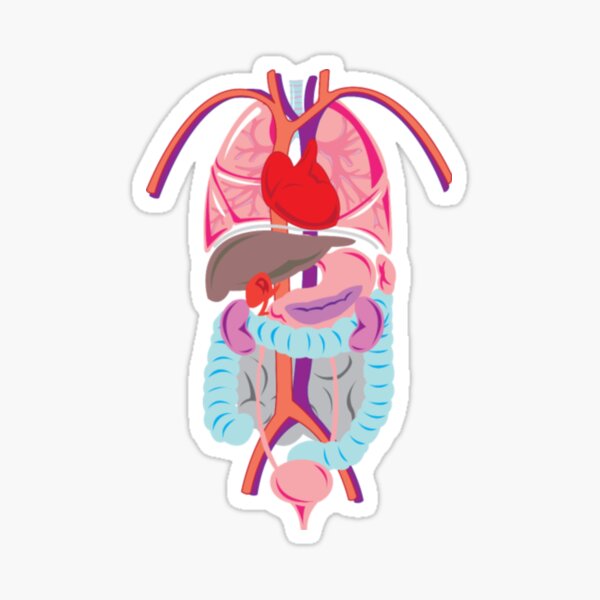 "Body Organ Costume" Sticker for Sale by DaoTien | Redbubble