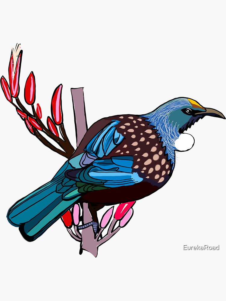 "Tui Bird from New Zealand" Sticker for Sale by EurekaRoad | Redbubble