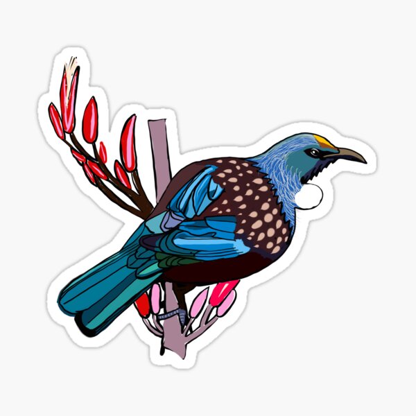 "Tui Bird from New Zealand" Sticker for Sale by EurekaRoad | Redbubble