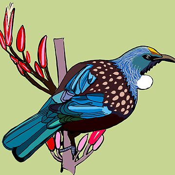 "Tui Bird from New Zealand" Sticker for Sale by EurekaRoad | Redbubble