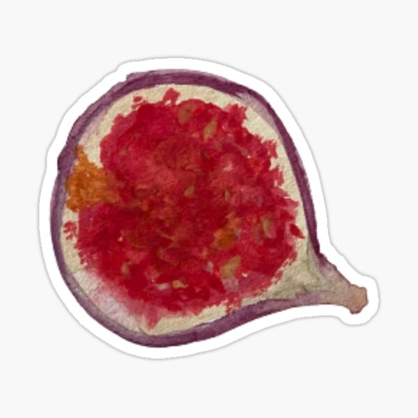 "Watercolor Fig" Sticker for Sale by haunted90slang | Redbubble
